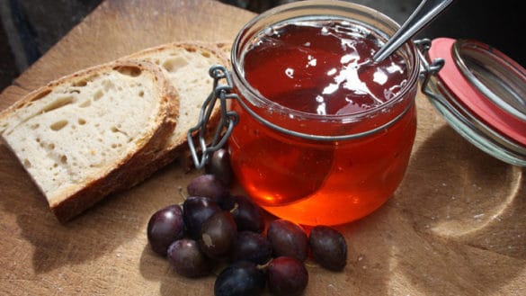 Rowan Berry Jam /Jelly Folk Recipe - Cailleachs Herbarium