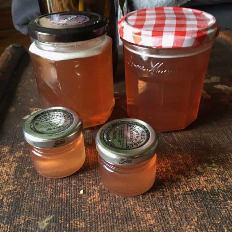 Flower Jam - Preserving the May (or any day) - Cailleachs Herbarium