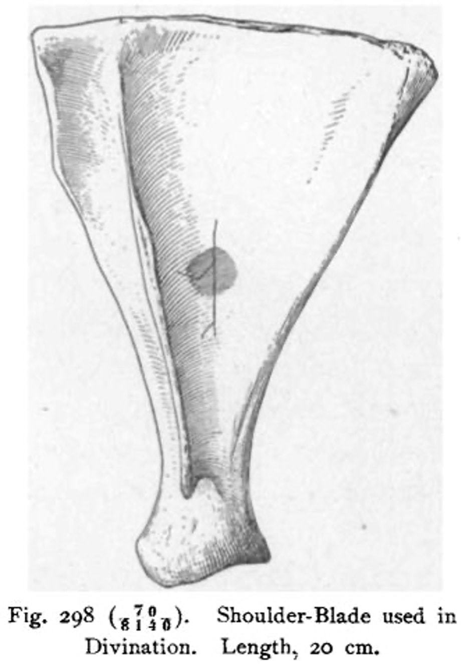 Divination by shoulder blade - scapulimancy–Slinneanachd/Slinnairachd ...